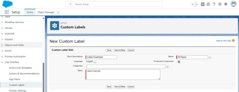Visualforce Page with Custom Controller Example & Overview☁️