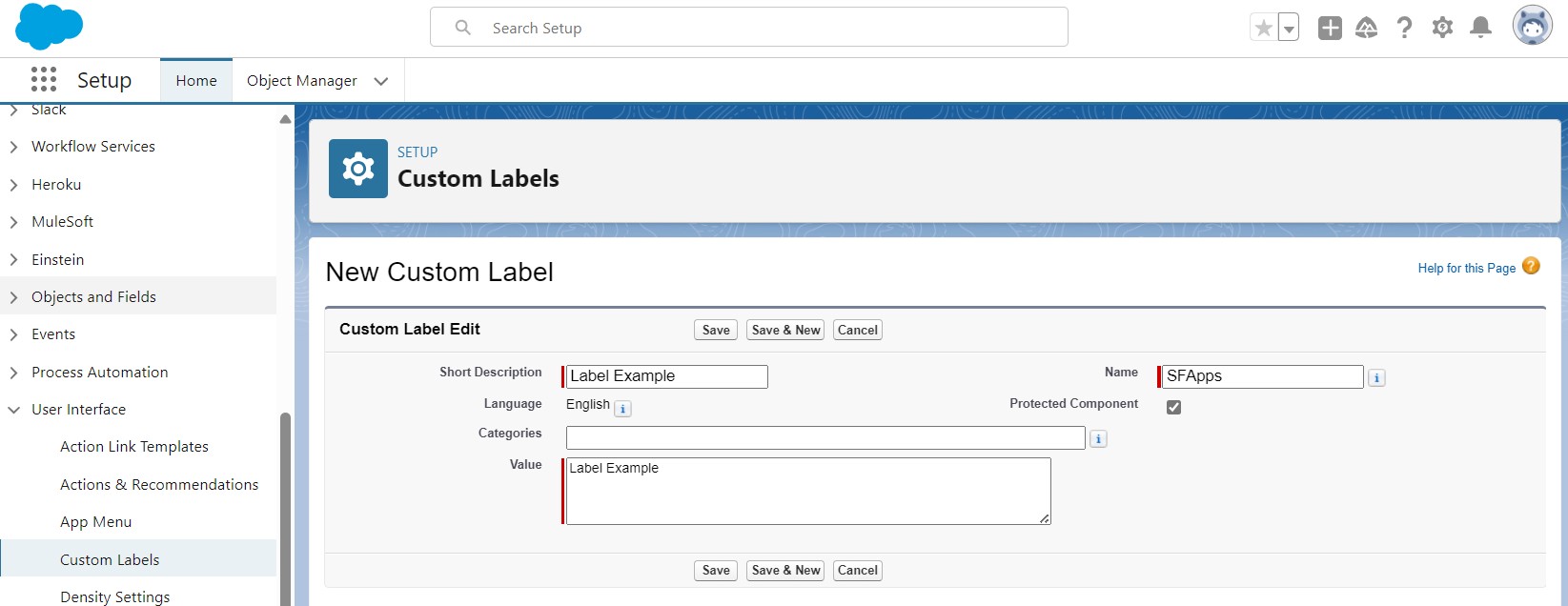 Visualforce Page with Custom Controller Example & Overview☁️
