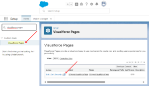 Visualforce Page with Custom Controller Example & Overview☁️